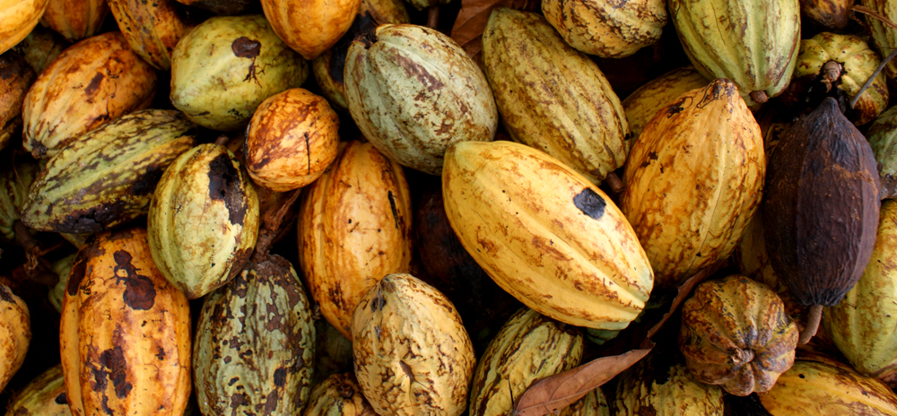 30 Ways to Celebrate 30 Years of Fairtrade